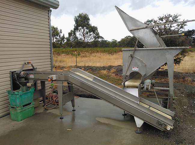 SED Graders Equipment | Leaders in Oyster Grading Technology