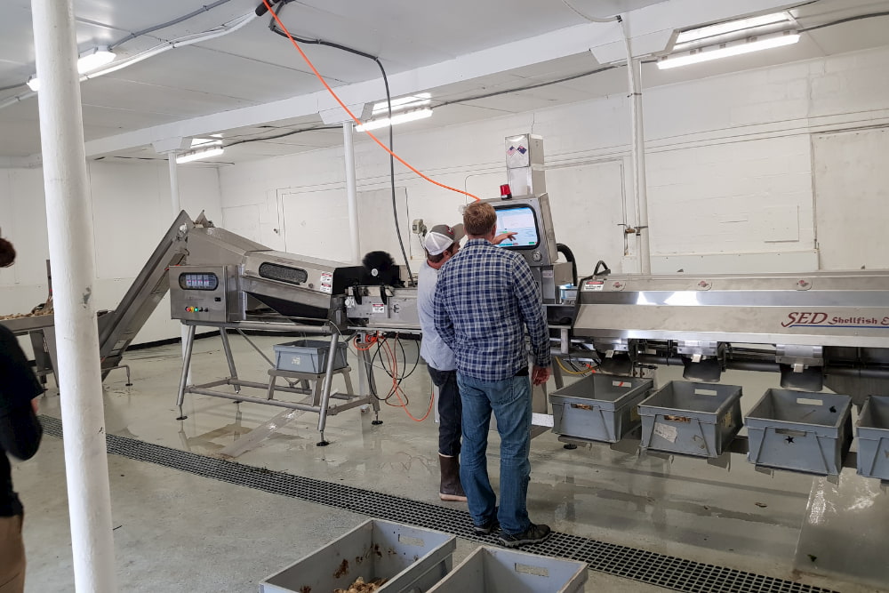 Vision Grader - Shellquip