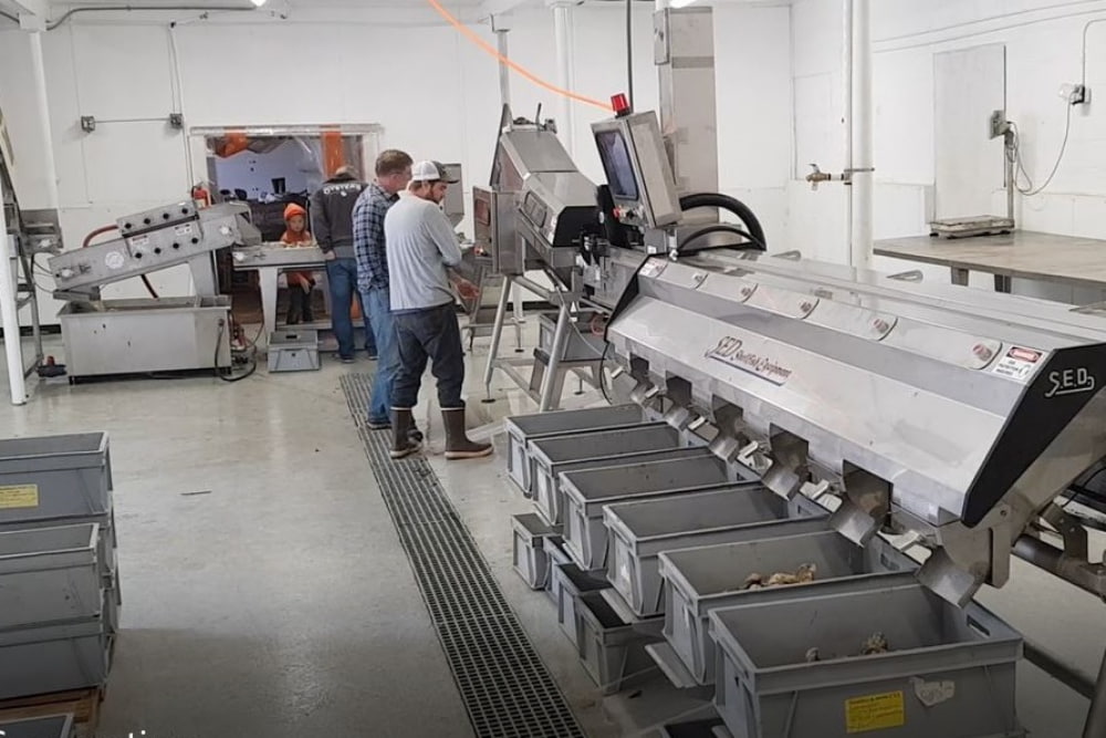 Vision Grader - Shellquip